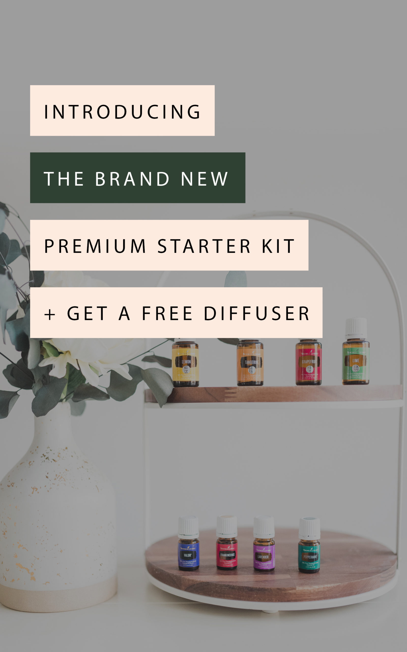 The Brand New Welcome Home Kit - Alexandria Hinders